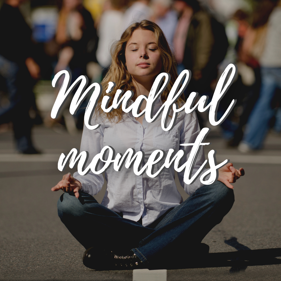 Mindfulness with animals | Flow-Spirit