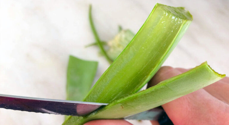 Zelf Aloë Vera Sap maken – helend en gezond | Flow-Spirit
