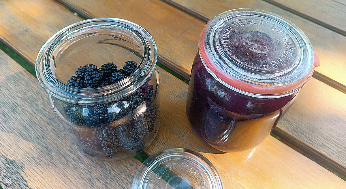 Make your own blackberry liqueur with vodka | Flow-Spirit